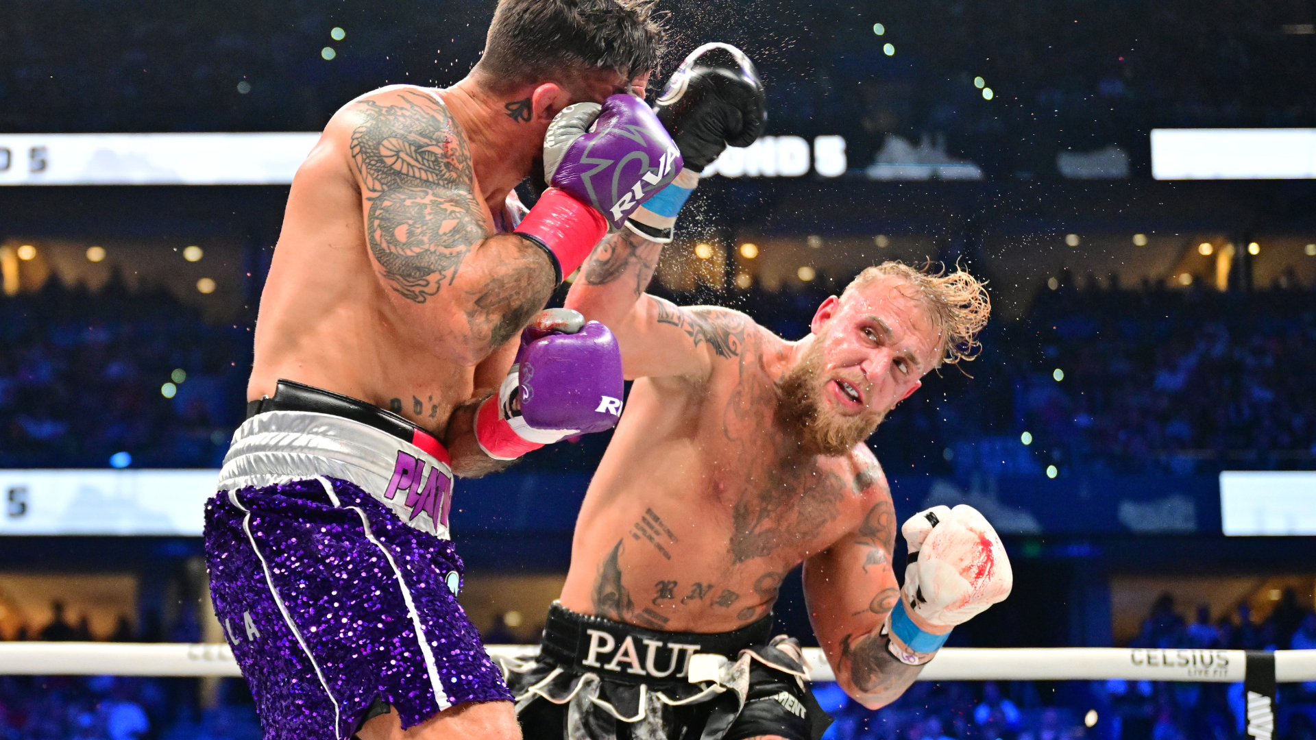 Dónde ver el Jake Paul vs Julio César Chávez Jr.: cartelera, cuándo es ...