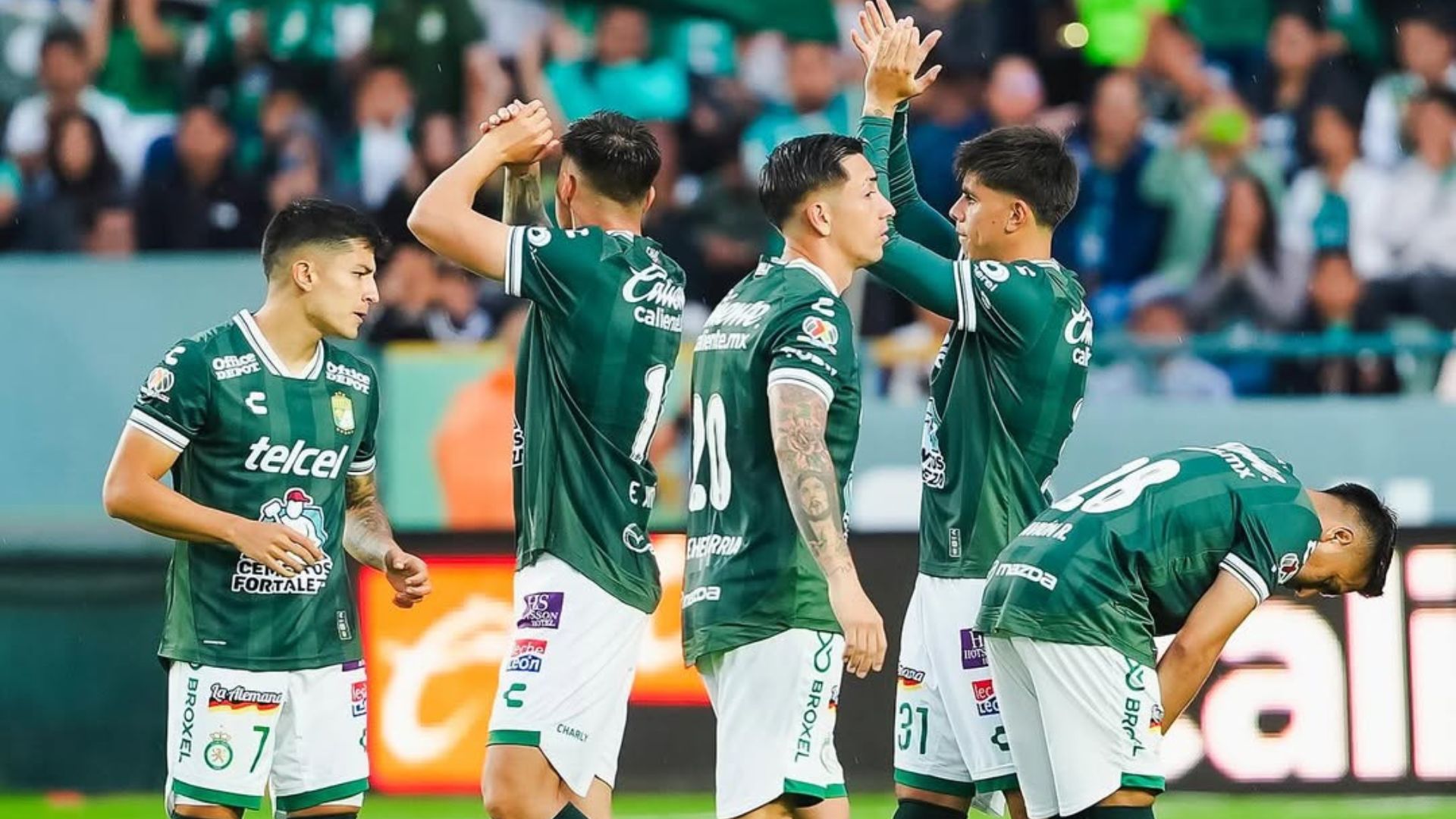 Club León vs Querétaro en vivo: horarios, transmisión online y canales ...