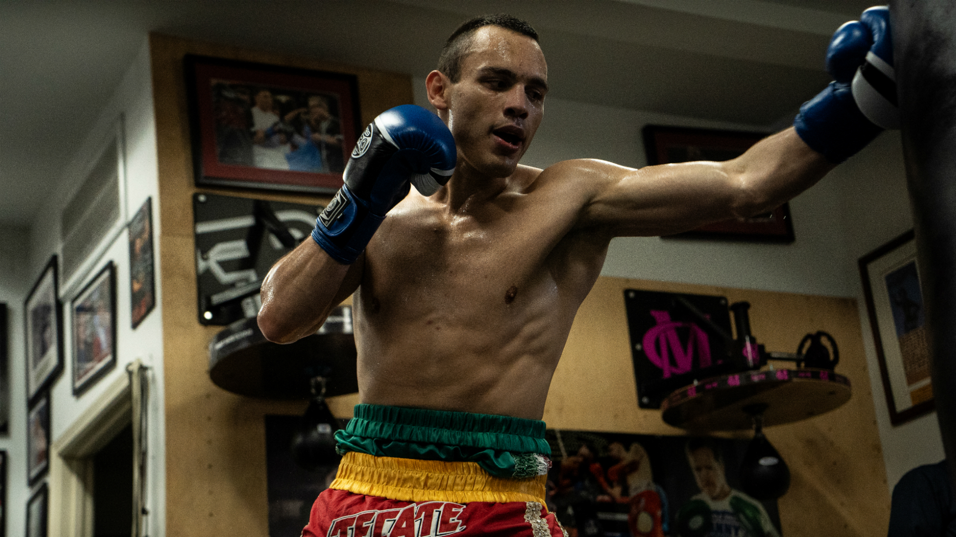 Cuánto cuesta el Jake Paul vs Julio César Chávez Jr: dónde comprar la ...