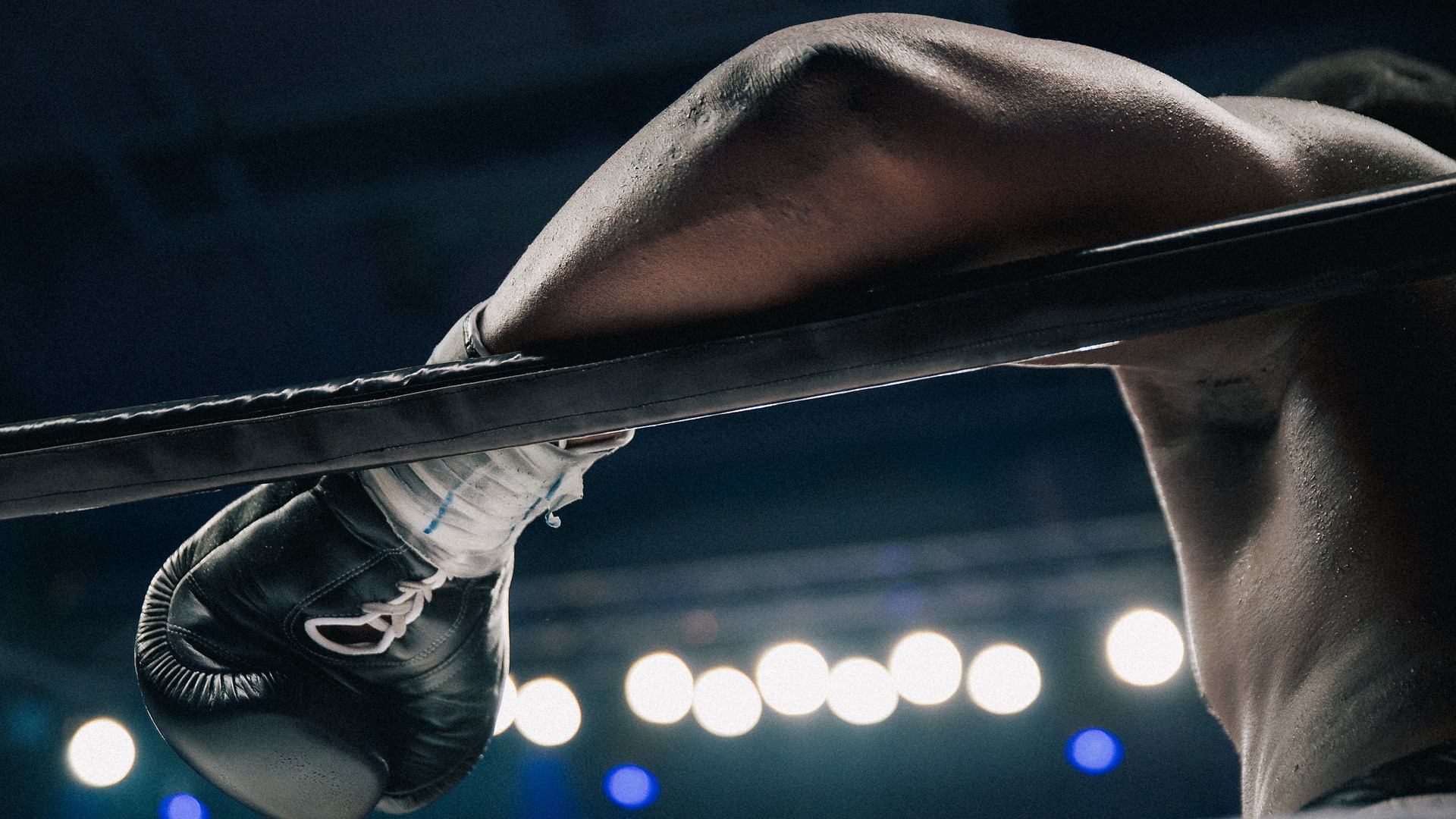 Boxen heute live: Dmitry Bivol vs. Michael Eifert im TV und LIVE-STREAM ...
