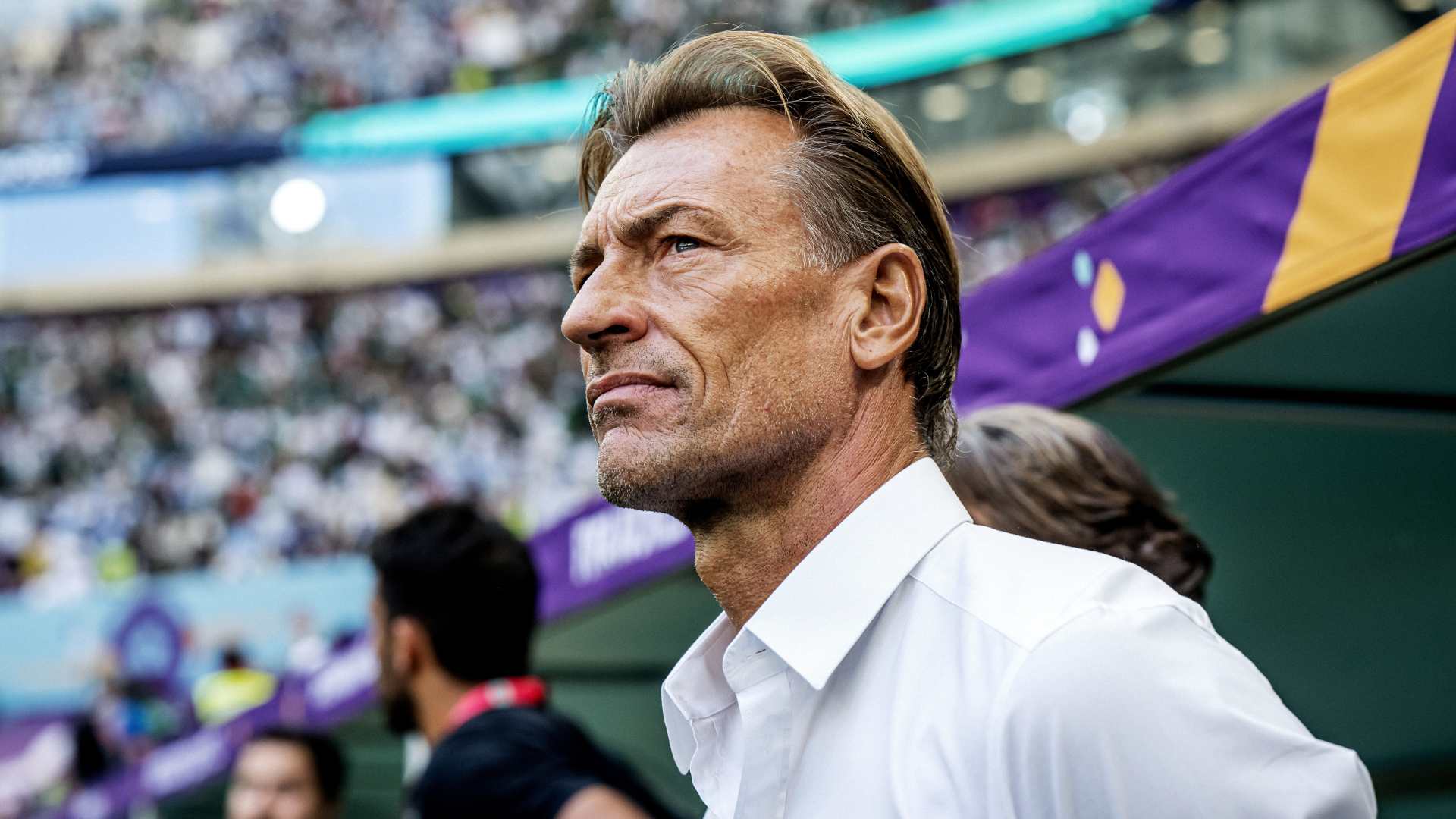 ¿Quién es Hervé Renard? El seleccionador de Arabia Saudí en el Mundial ...